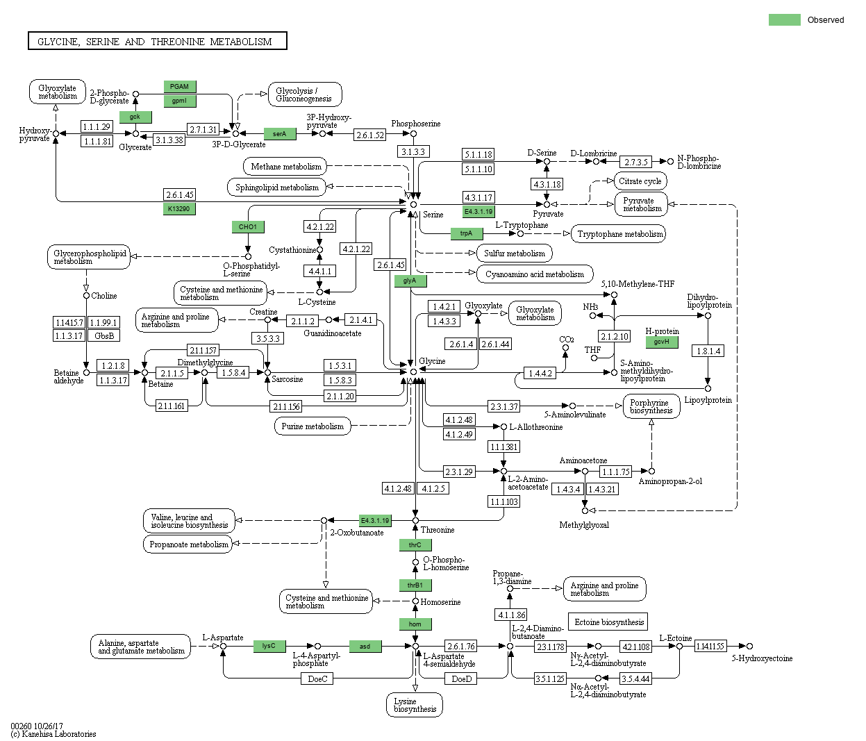 KEGG PATHWAY: Glycine, serine and threonine metabolism - Reference pathway