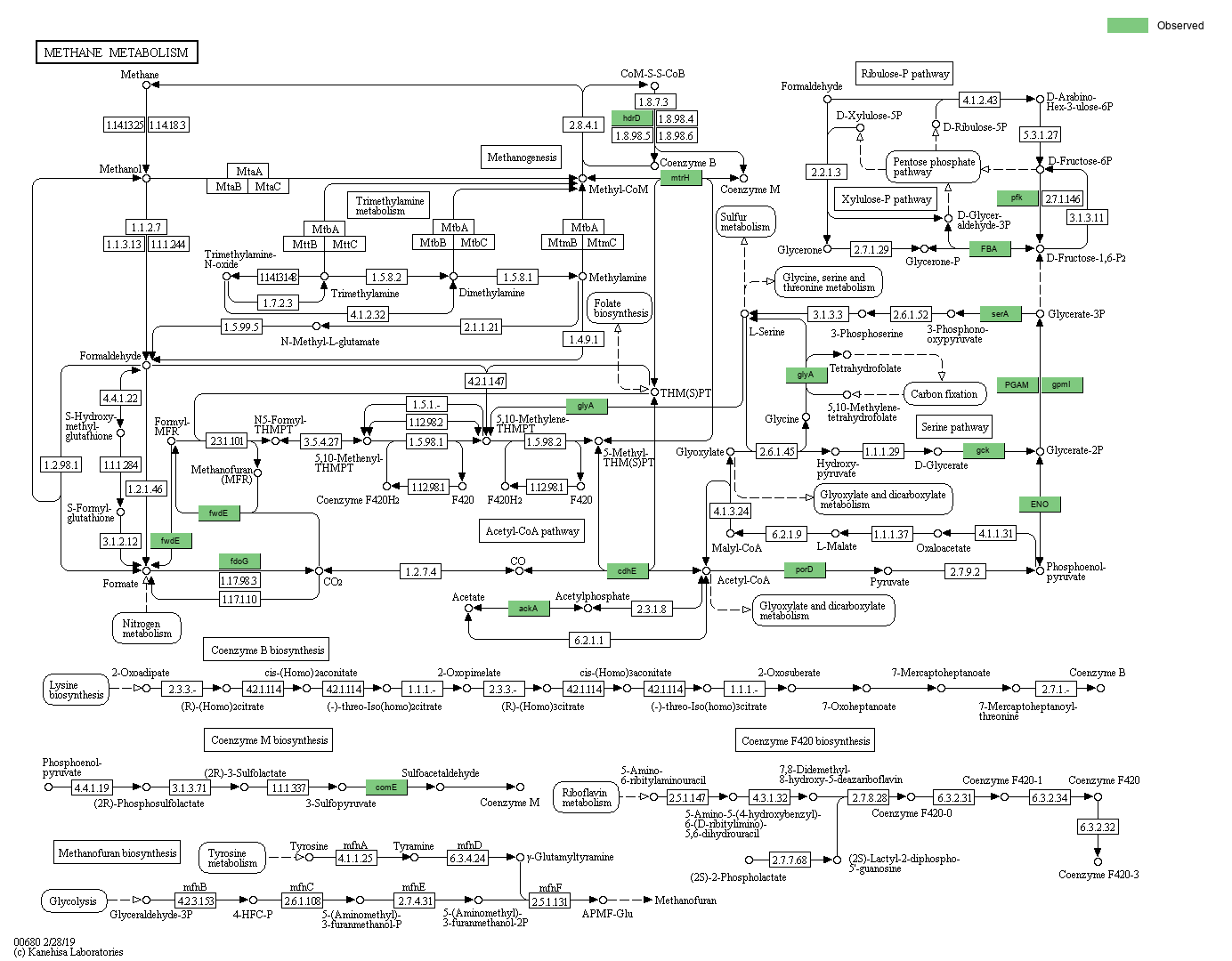 KEGG PATHWAY: Methane metabolism - Reference pathway