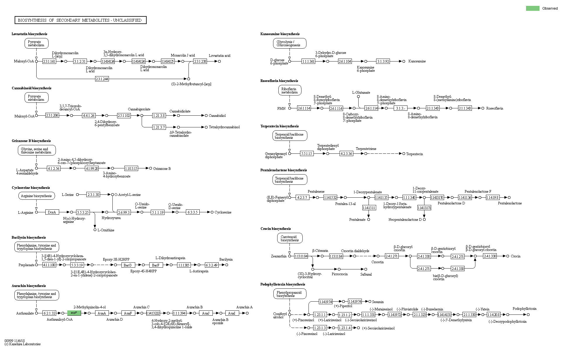 KEGG PATHWAY: Biosynthesis of secondary metabolites - unclassified ...