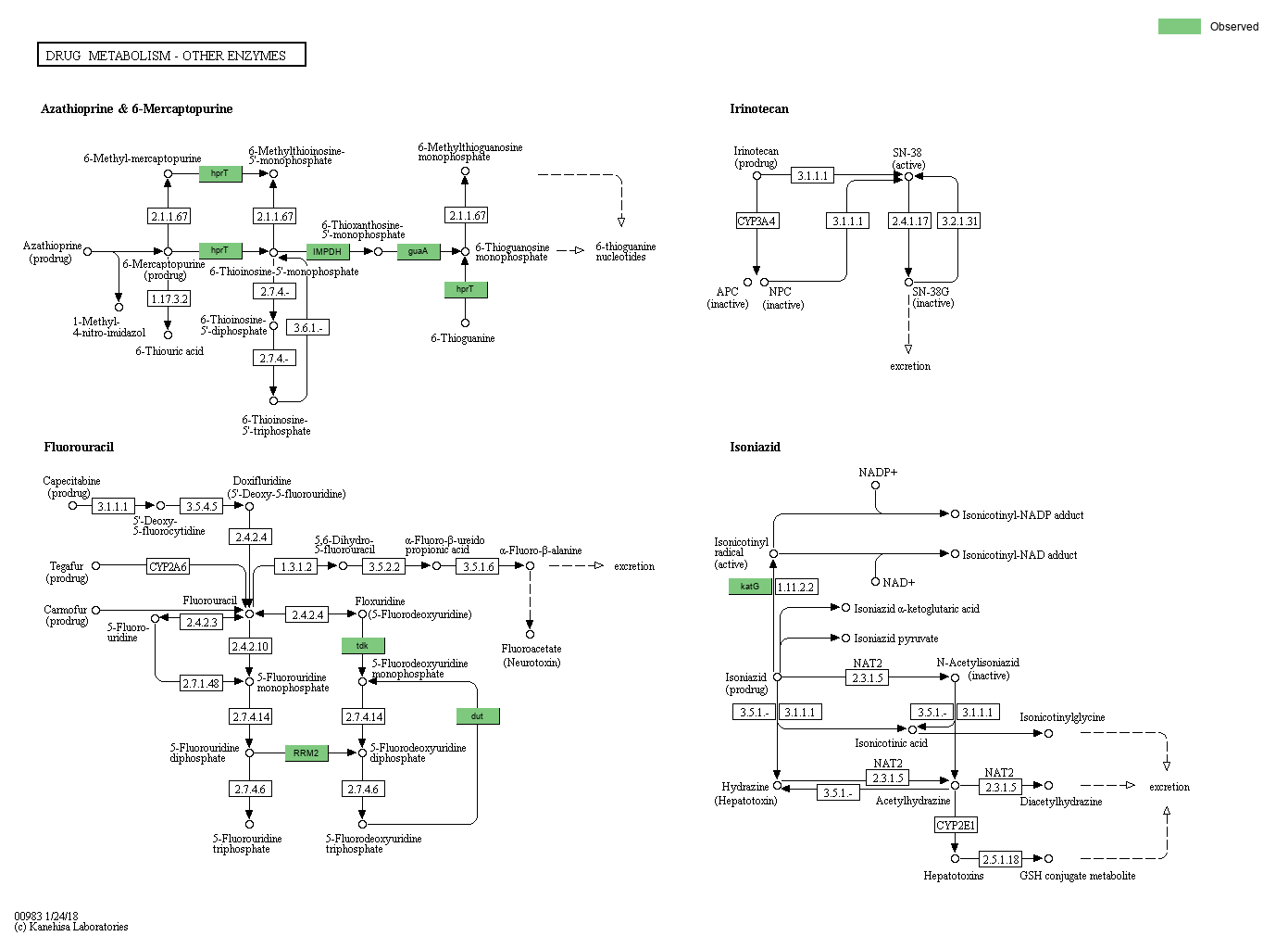 KEGG PATHWAY: Drug metabolism - other enzymes - Reference pathway