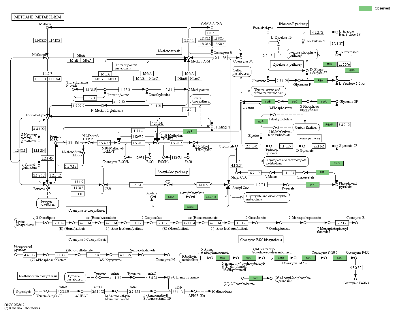 KEGG PATHWAY: Methane metabolism - Reference pathway