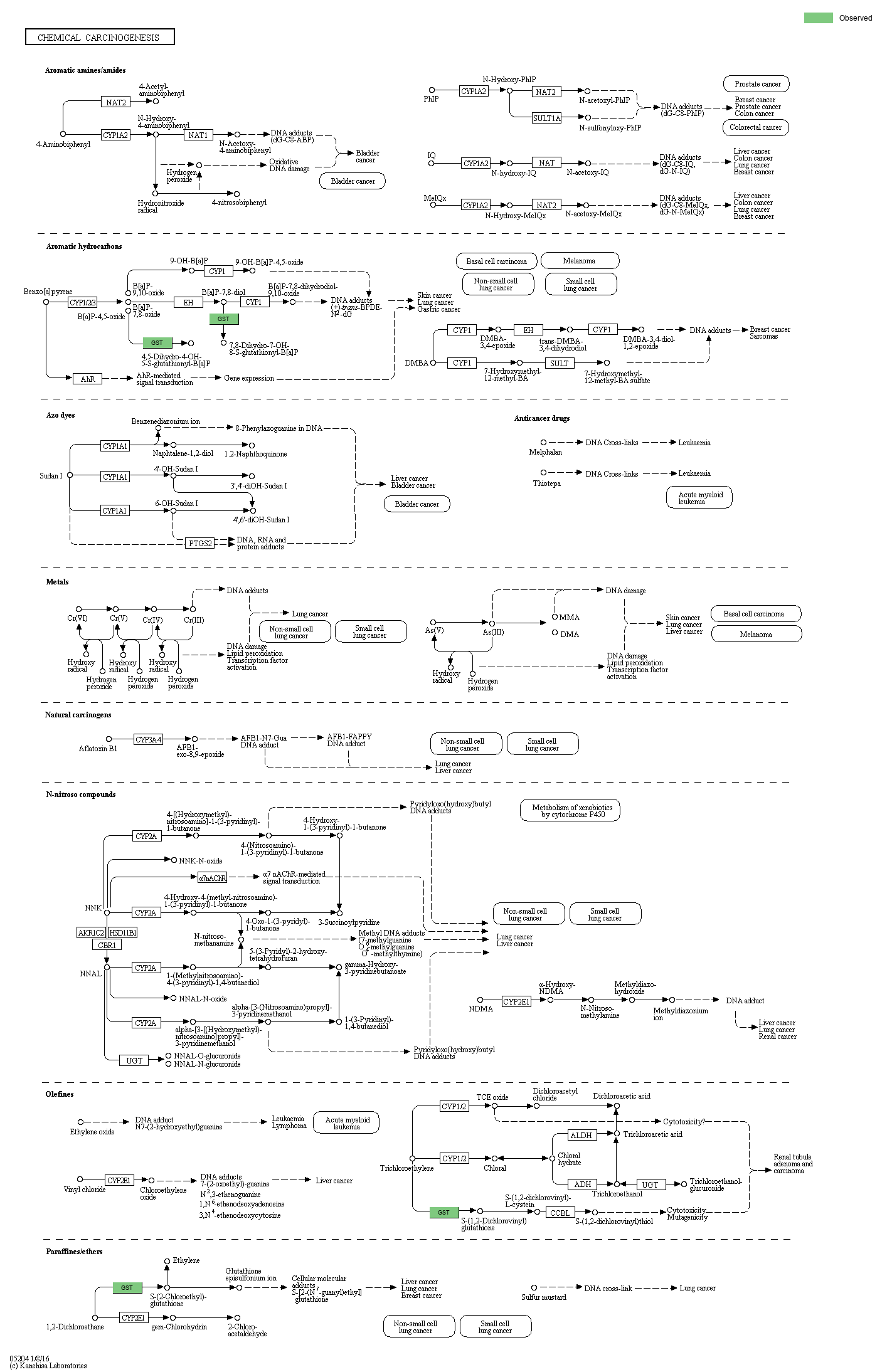KEGG PATHWAY: Chemical carcinogenesis - Reference pathway