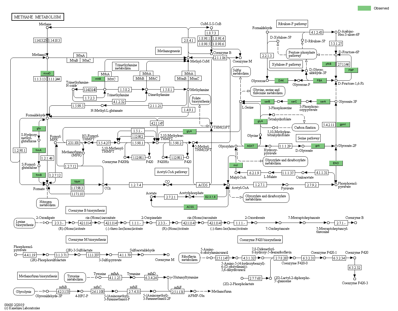 KEGG PATHWAY: Methane metabolism - Reference pathway