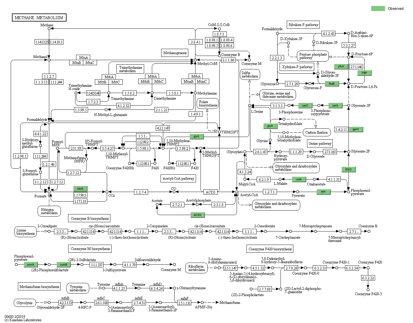 KEGG PATHWAY: Methane metabolism - Reference pathway