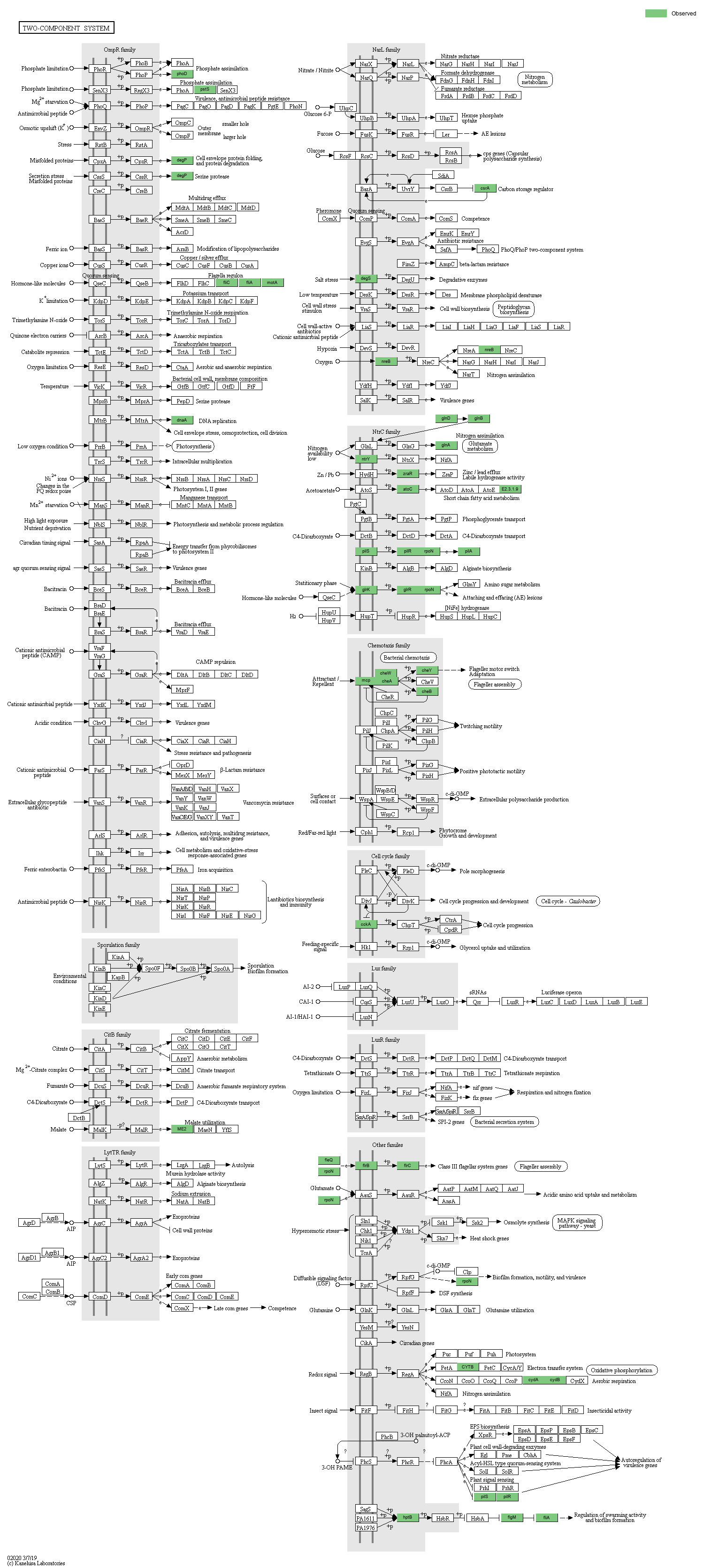 KEGG PATHWAY: Two-component system - Reference pathway