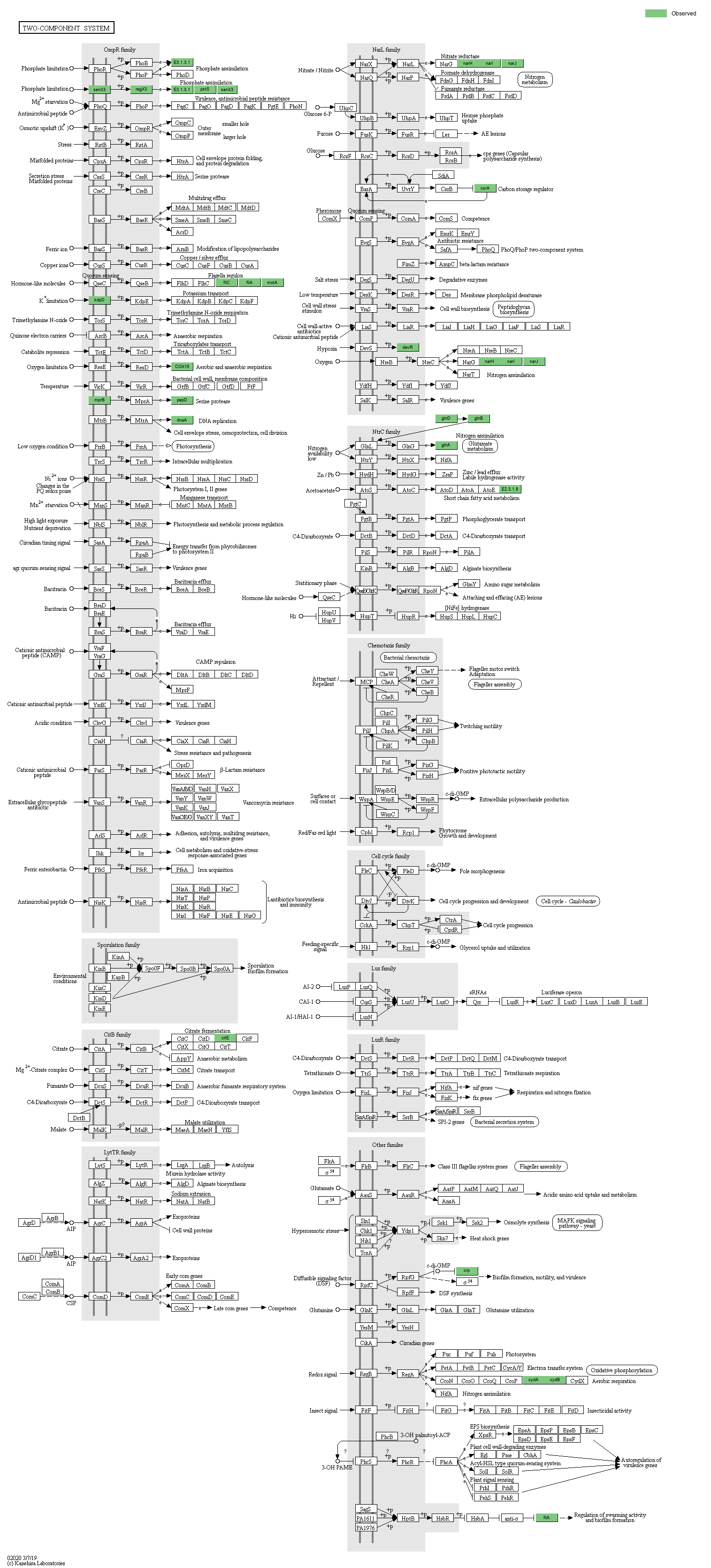 KEGG PATHWAY: Two-component system - Reference pathway