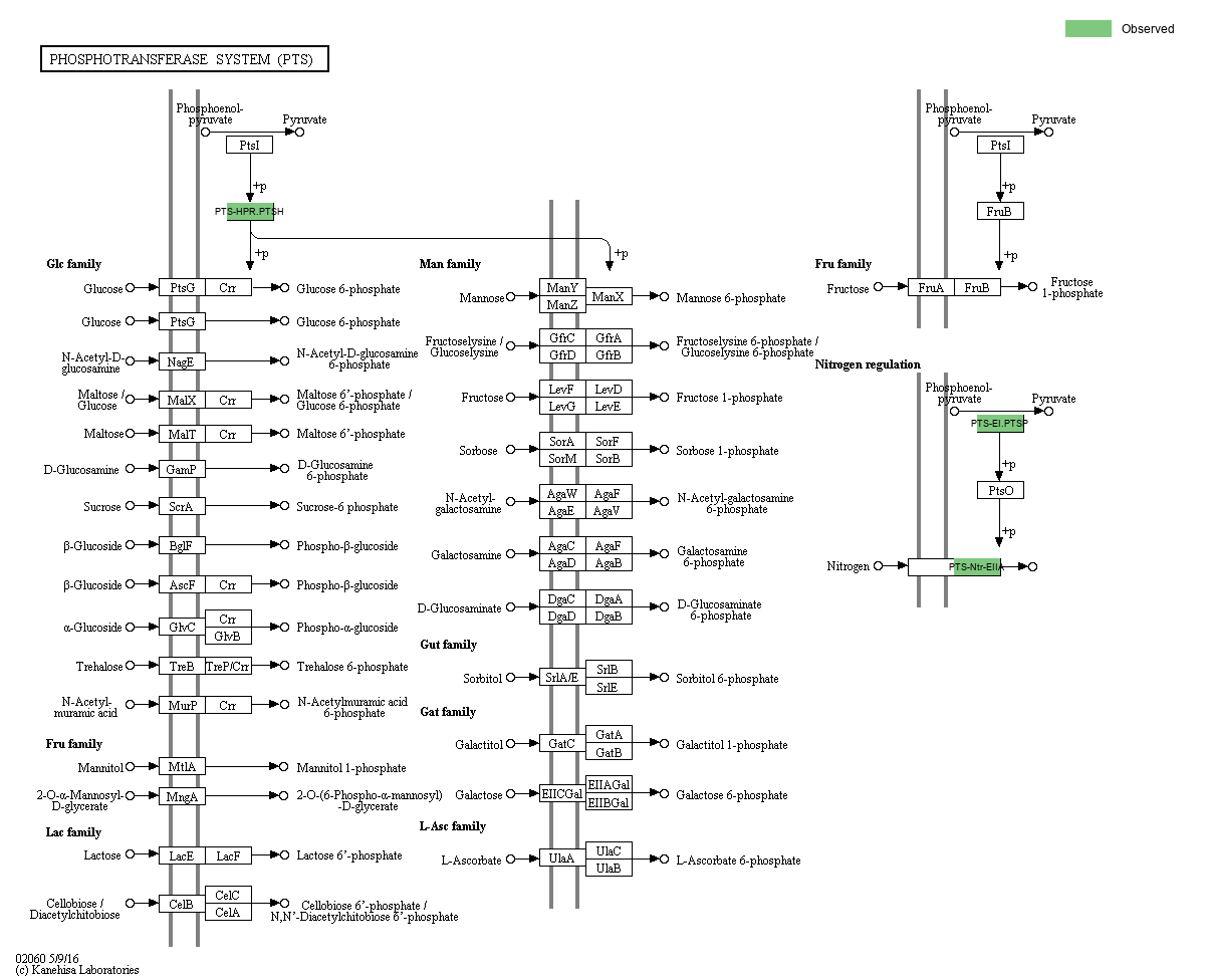 KEGG PATHWAY: Phosphotransferase system (PTS) - Reference pathway