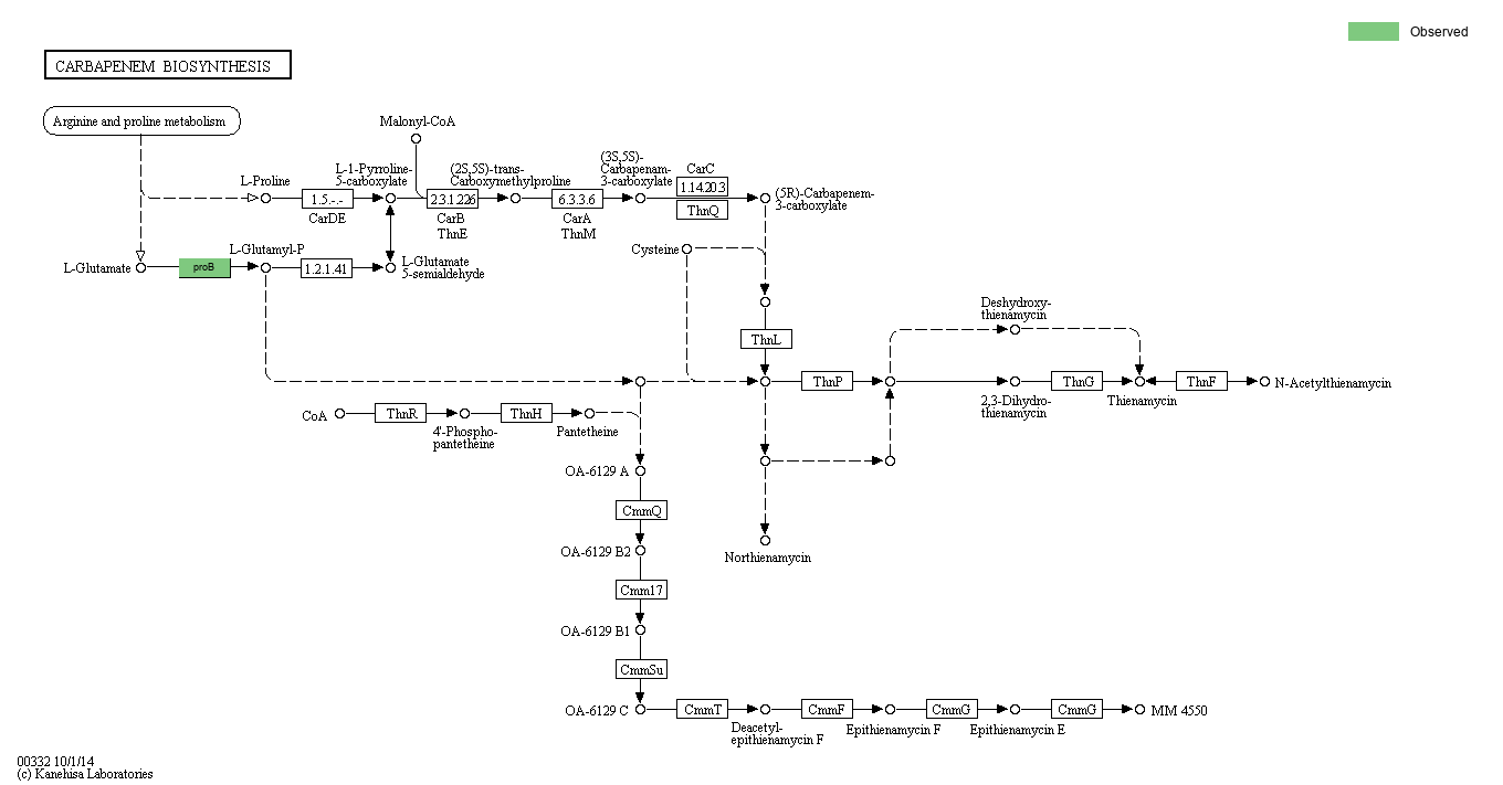 KEGG PATHWAY: Carbapenem biosynthesis - Reference pathway