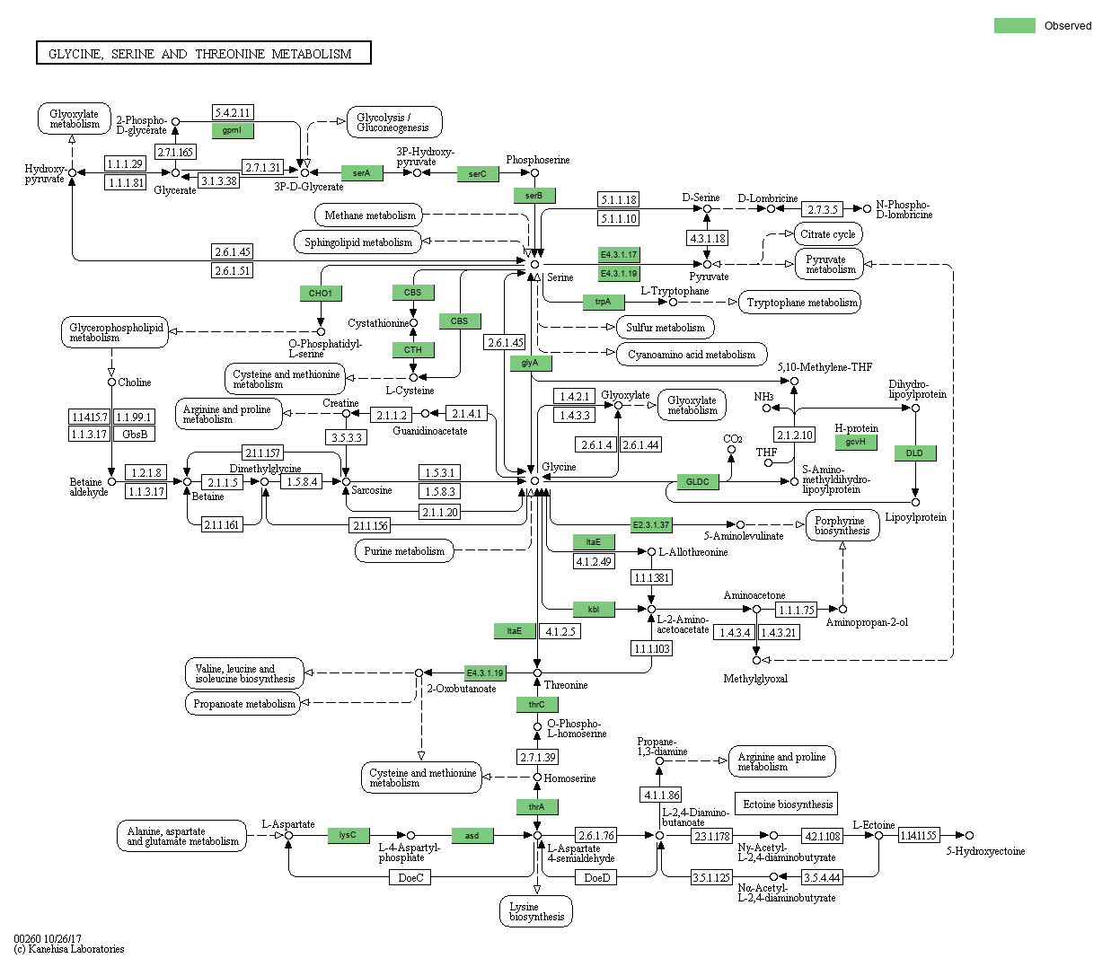 KEGG PATHWAY: Glycine, serine and threonine metabolism - Reference pathway