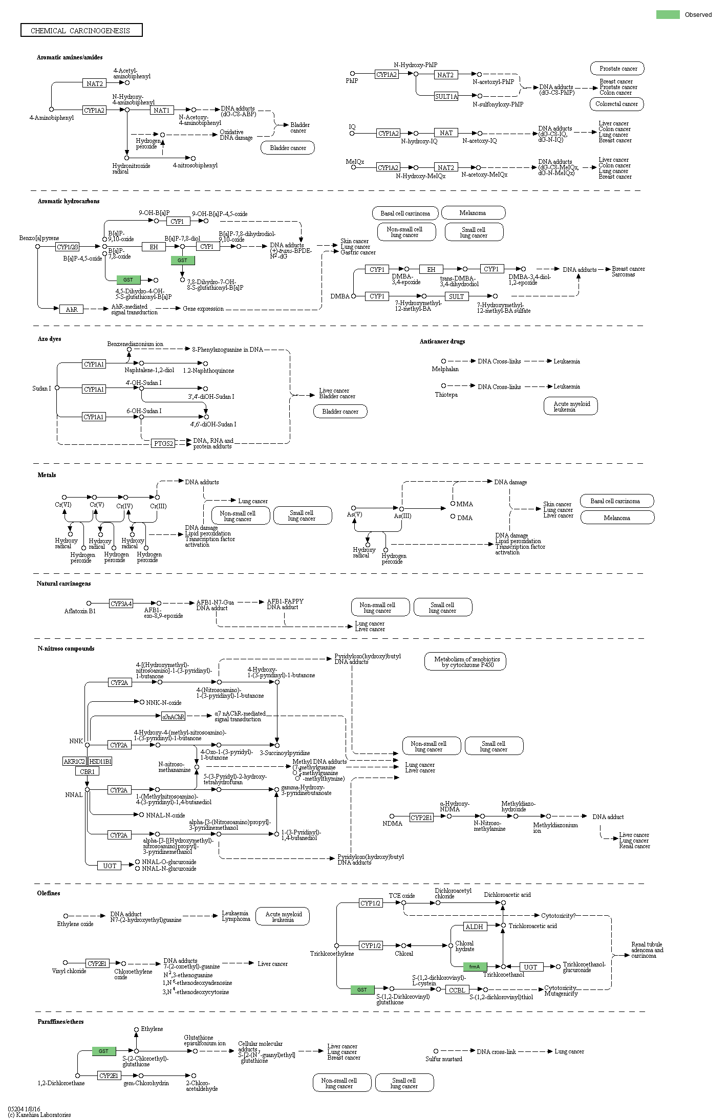 KEGG PATHWAY: Chemical carcinogenesis - Reference pathway