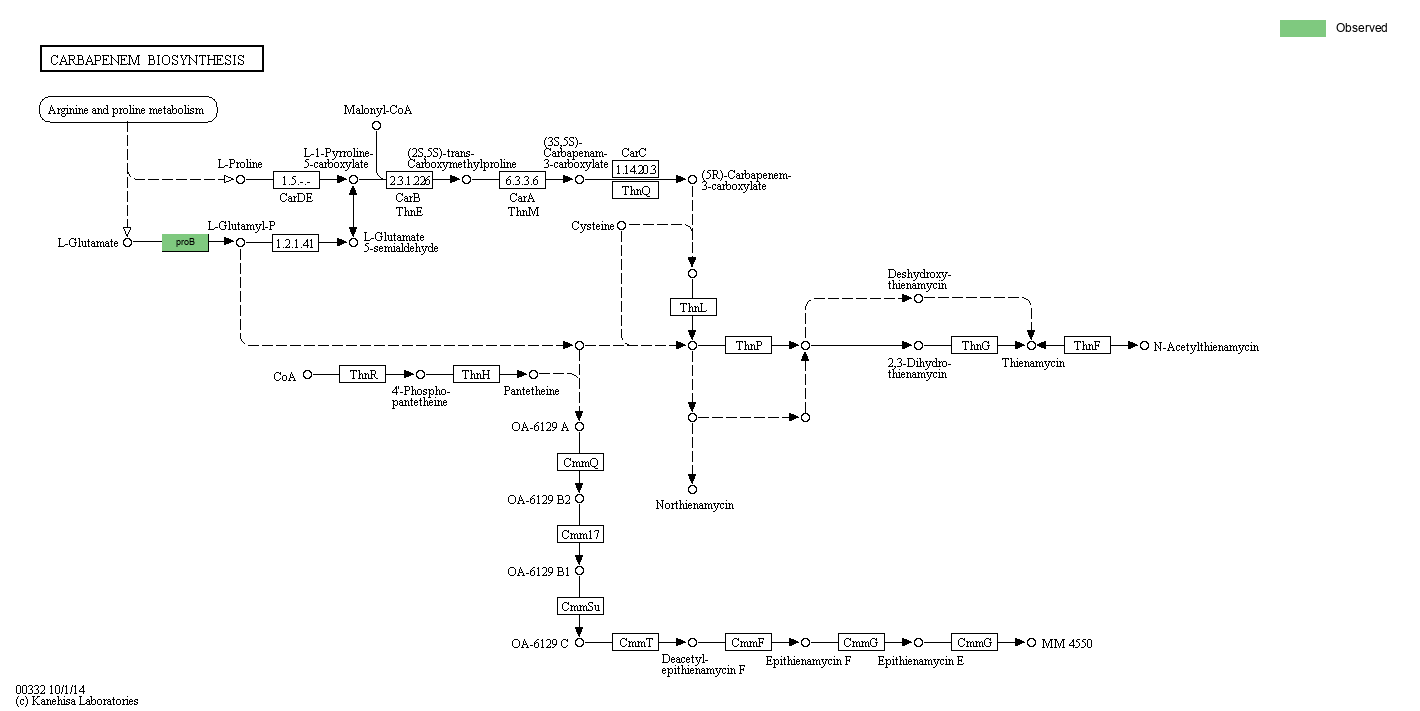 KEGG PATHWAY: Carbapenem biosynthesis - Reference pathway