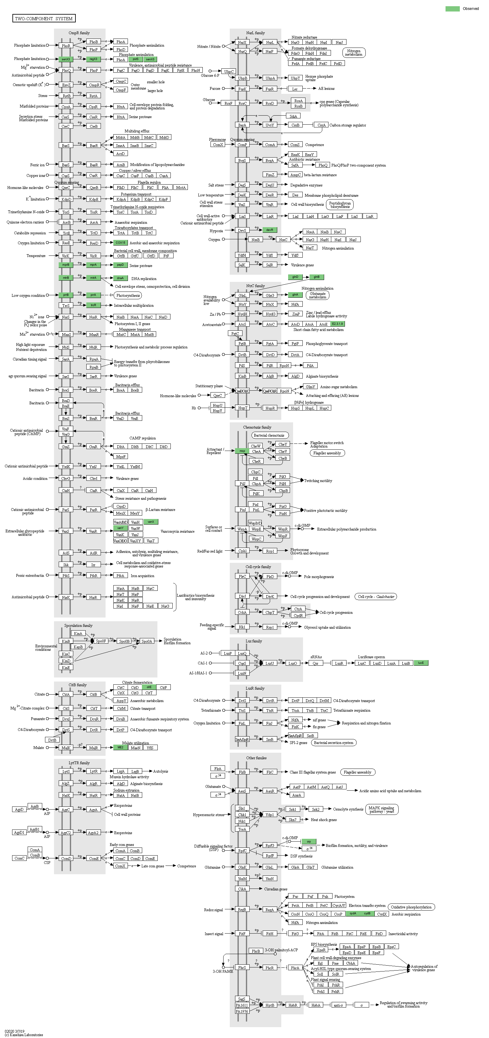 KEGG PATHWAY: Two-component system - Reference pathway