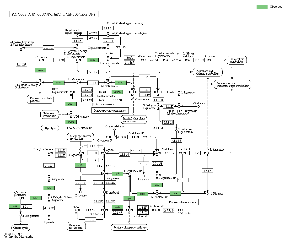 Index of /cloudir/reports/binning/04-MAG_Function/KEGG/Pathway ...