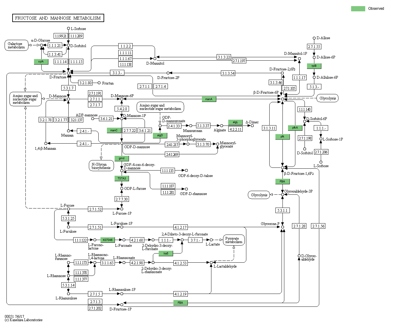 Index of /cloudir/reports/binning/04-MAG_Function/KEGG/Pathway ...