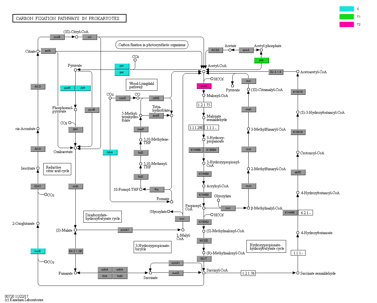 KEGG PATHWAY: Carbon fixation pathways in prokaryotes - Reference pathway