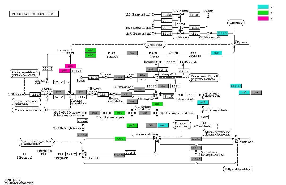 map00650.html 22-Oct-2024 19:01 31K map00650.png 22-Oct-2024 19:01 43K