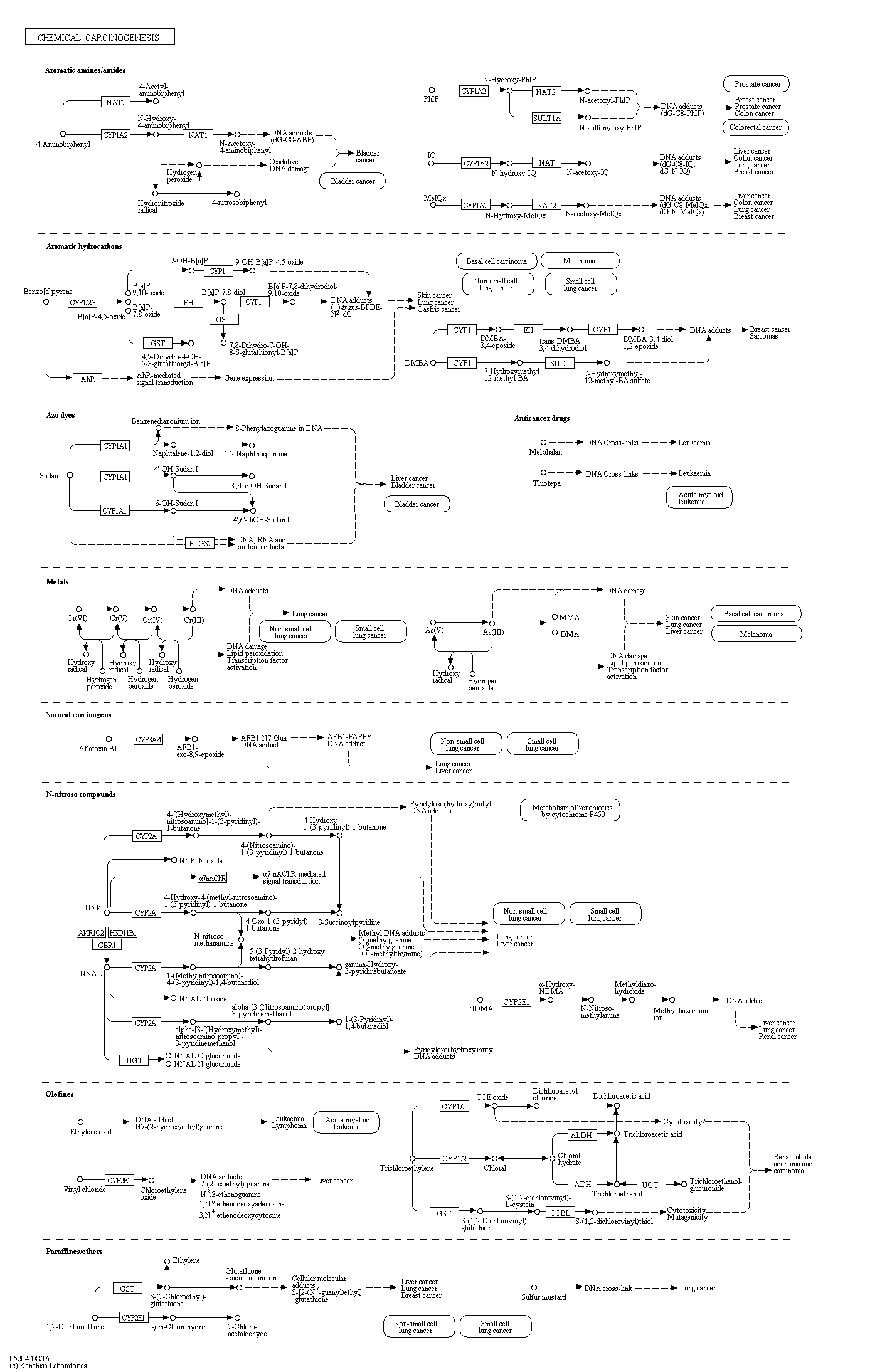 KEGG PATHWAY: Chemical carcinogenesis - Reference pathway