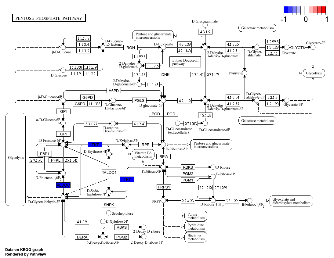 Index of /cloudir/reports/osk_dia_report/4.kegg_enrichment/Category1_M ...