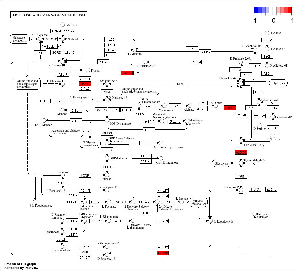 Index of /cloudir/reports/osk_dia_report/4.kegg_enrichment/Category1_T ...