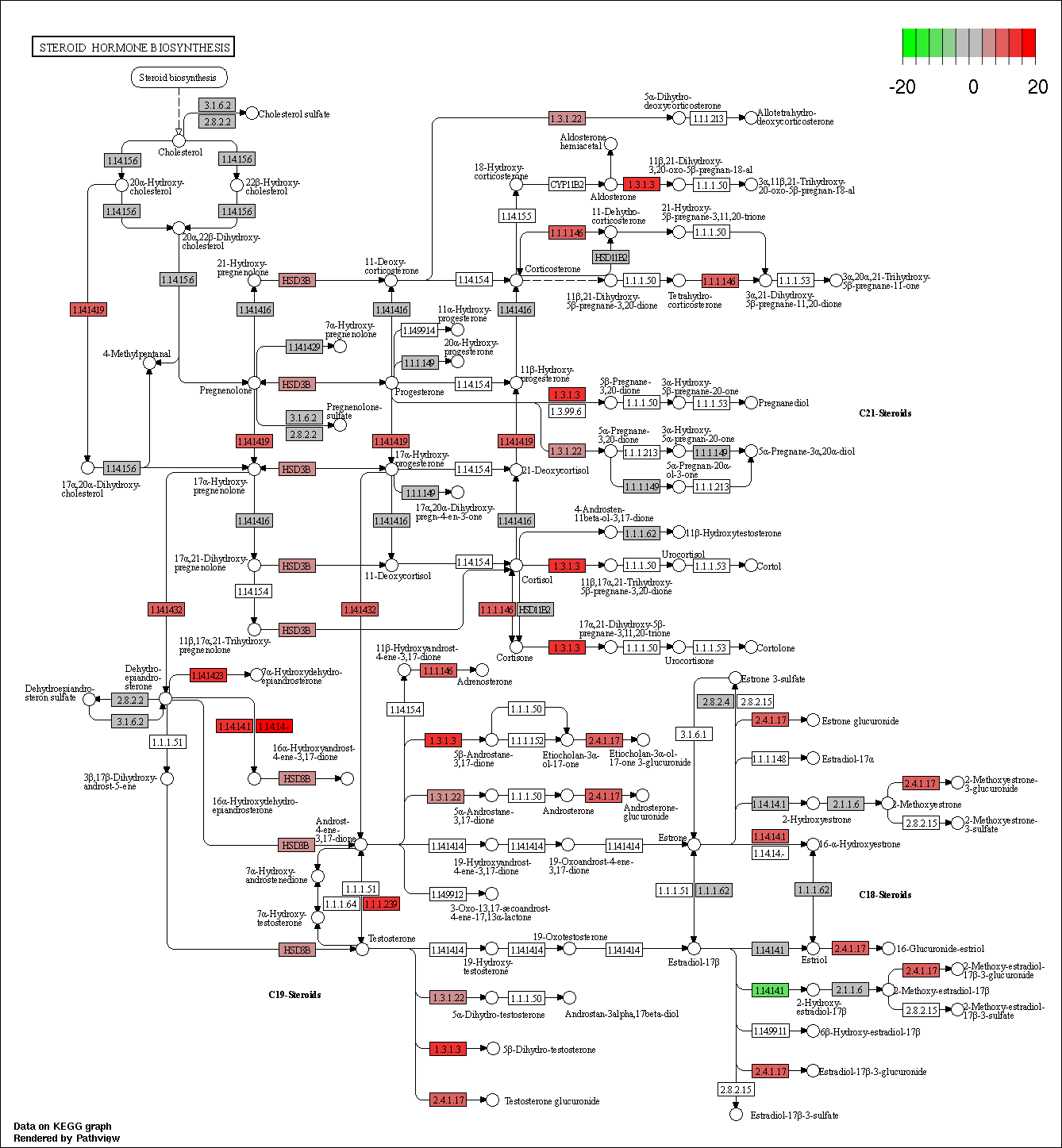 KEGG PATHWAY: Steroid hormone biosynthesis - Mus musculus (mouse)