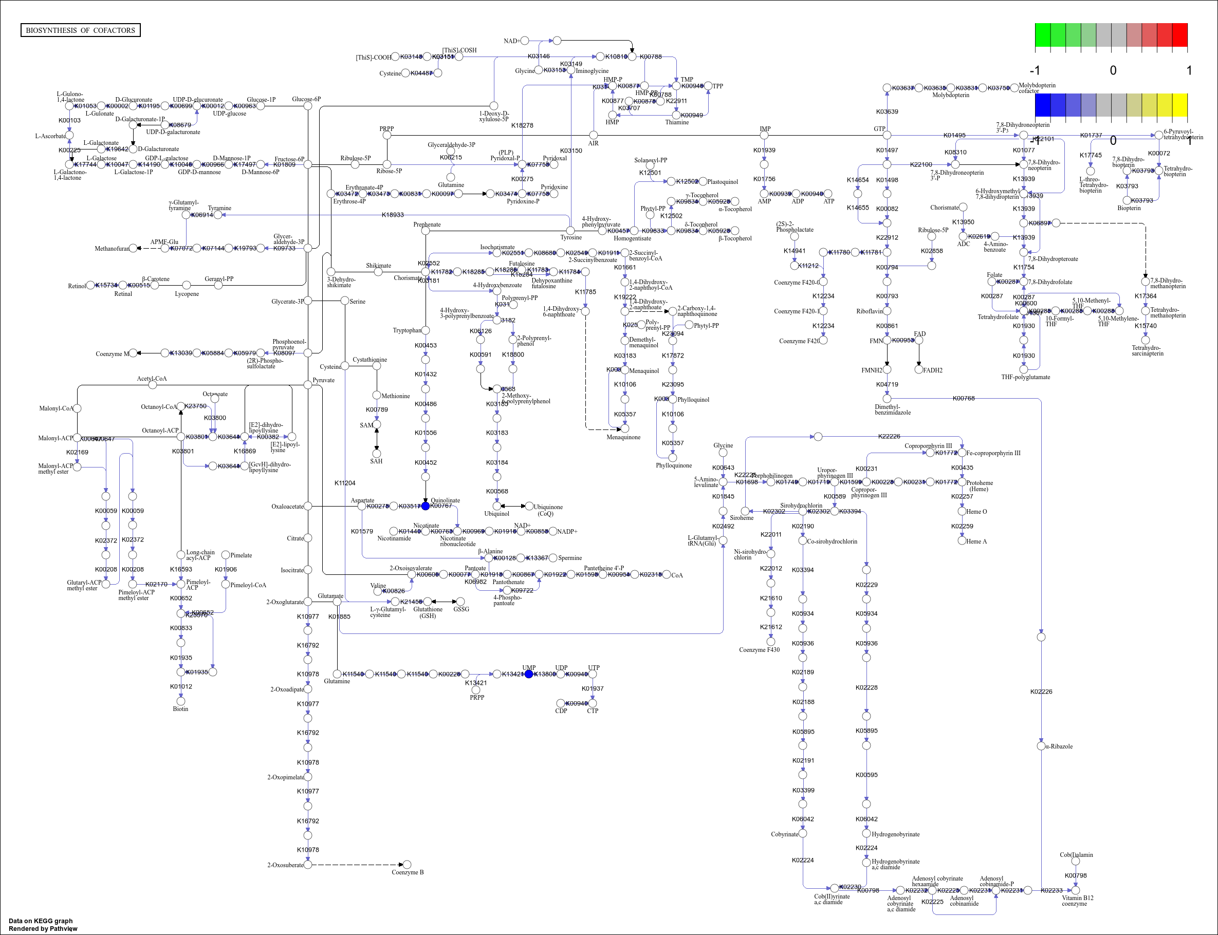 KEGG PATHWAY: Biosynthesis of cofactors